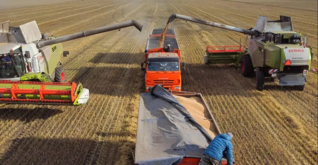 المغرب يستورد 300 ألف طن من القمح من روسيا | Detafour