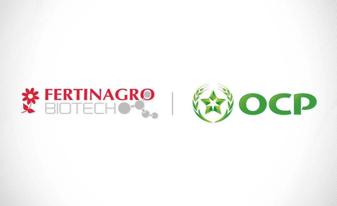 مجلس المنافسة يُجيز استحواذ OCP على أغلبية أسهم Global Feed الإسبانية - Detafour