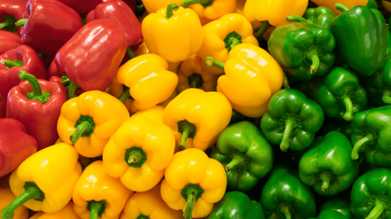 المغرب يحقق رقماً قياسياً في صادرات الفلفل الحلو لألمانيا - Detafour