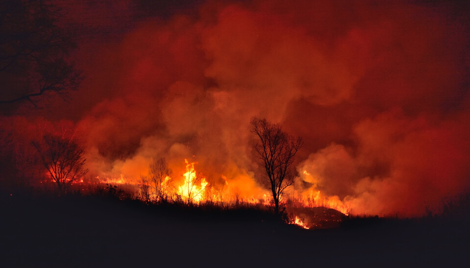 أوروبا تواجه أسوأ موجة حرائق غابات منذ عقدين - Detafour