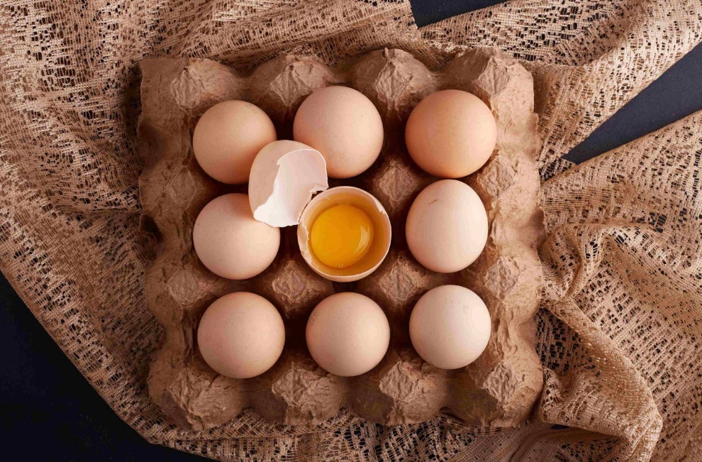 منظمة دولية تحث المغرب على تبني نموذج البيض الخالي من الأقفاص قبل مونديال 2030 - Detafour